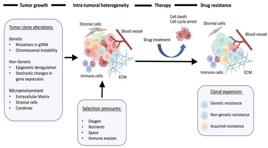 Cancer Evolution in Precision Medicine Era