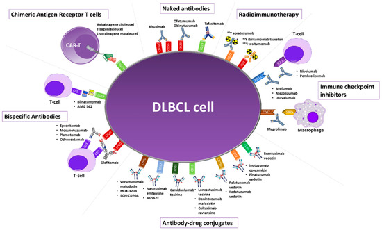 Monoclonal Antibodies in the Treatment of Diffuse Large B-Cell Lymphoma ...