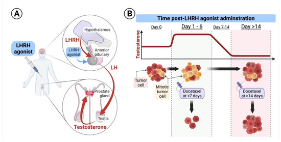 Androgen Flare after LHRH Initiation Is the Side Effect That Makes Most ...