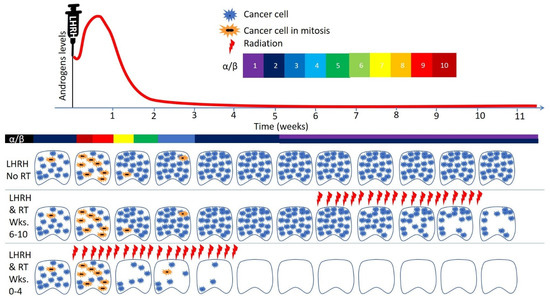 Androgen Flare after LHRH Initiation Is the Side Effect That Makes Most ...
