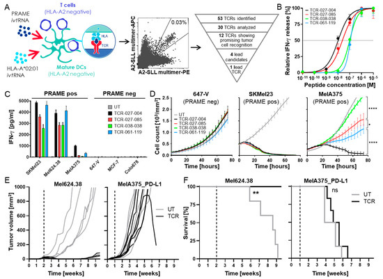 T-Cells Expressing a Highly Potent PRAME-Specific T-Cell Receptor in ...