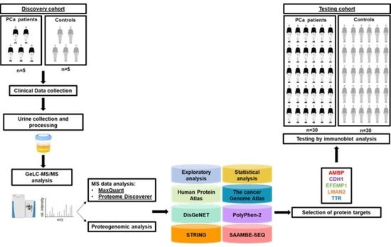 Cancers | Free Full-Text | Application of Proteogenomics to Urine ...