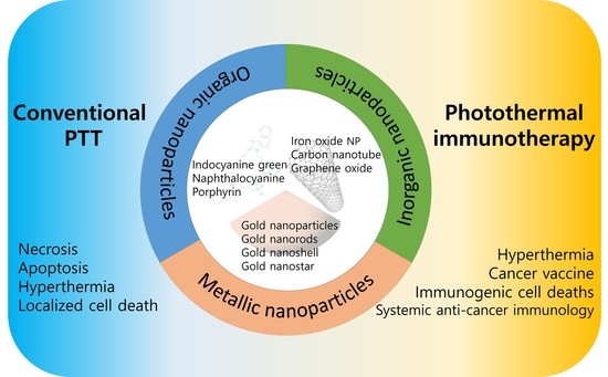 Cancers | Free Full-Text | How Did Conventional Nanoparticle-Mediated ...