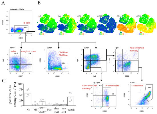 Advanced Immune Cell Profiling by Multiparameter Flow Cytometry in ...