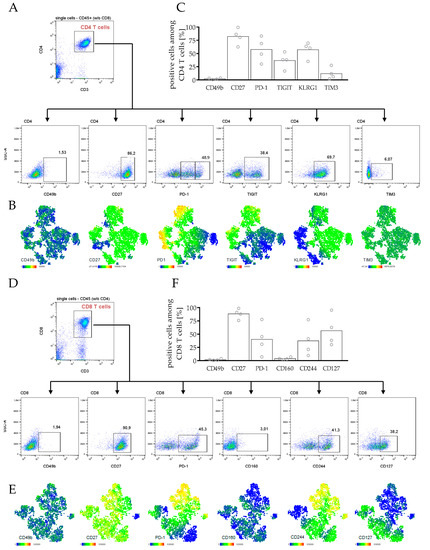 Advanced Immune Cell Profiling by Multiparameter Flow Cytometry in ...