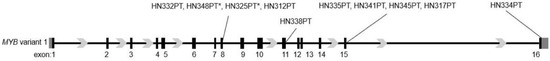 Development and Characterization of MYB-NFIB Fusion Expression in ...
