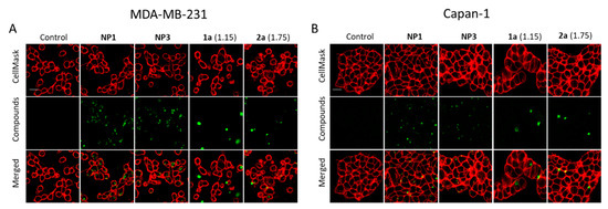 Encapsulation of Hydrophobic Porphyrins into Biocompatible ...