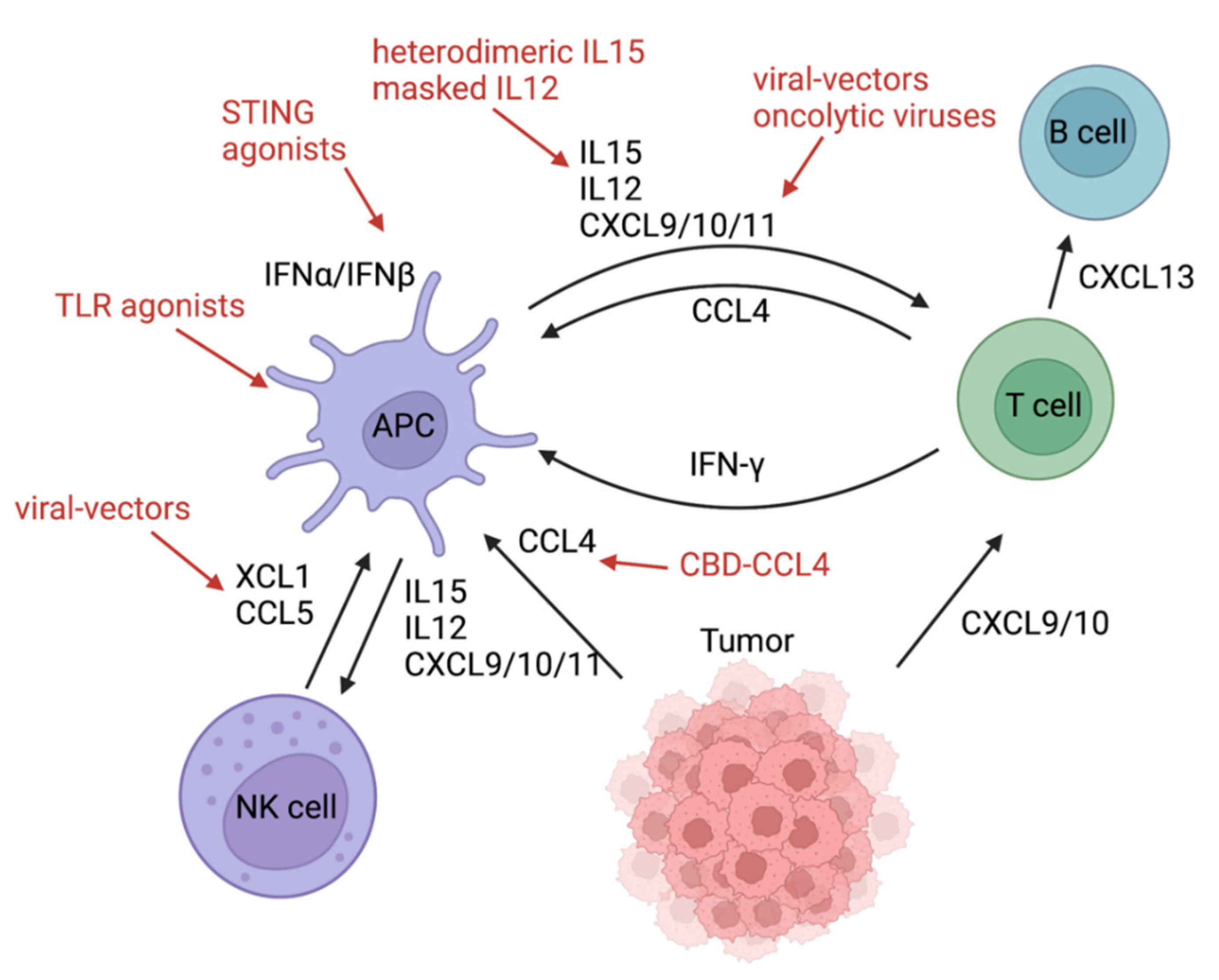 Leveraging STING, Batf3 Dendritic Cells, CXCR3 Ligands, and Other ...