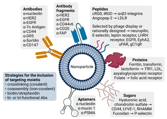 Cancers | Free Full-Text | Nanoparticles as Physically- and ...