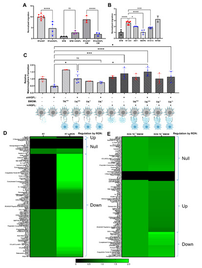 RON (MST1R) and HGFL (MST1) Co-Overexpression Supports Breast ...