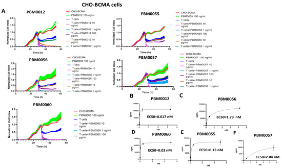 Bispecific BCMA-CD3 Antibodies Block Multiple Myeloma Tumor Growth