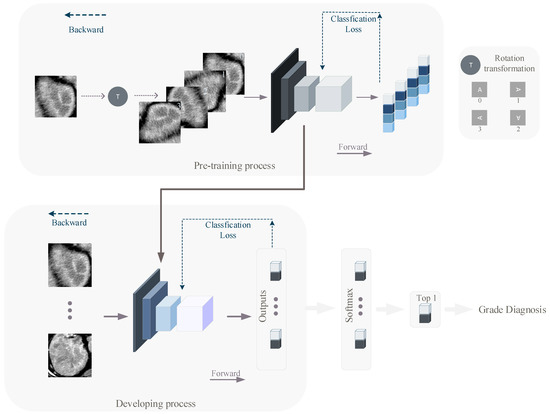 Cancers | Free Full-Text | Deep Learning Using CT Images to Grade Clear ...
