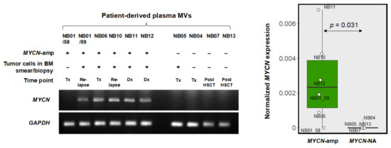 Extracellular Vesicle-Based Method for Detecting MYCN Amplification ...