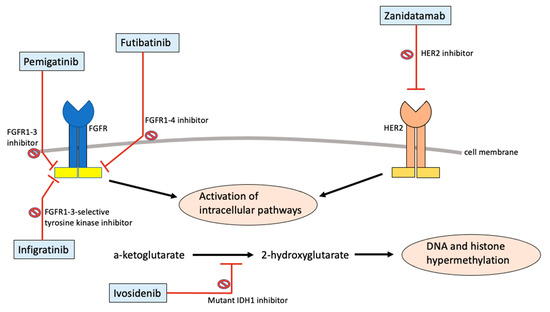 Timeline of FDA-Approved Targeted Therapy for Cholangiocarcinoma