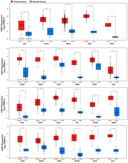 An Integrative Human Pan-Cancer Analysis of Cyclin-Dependent Kinase 1 ...