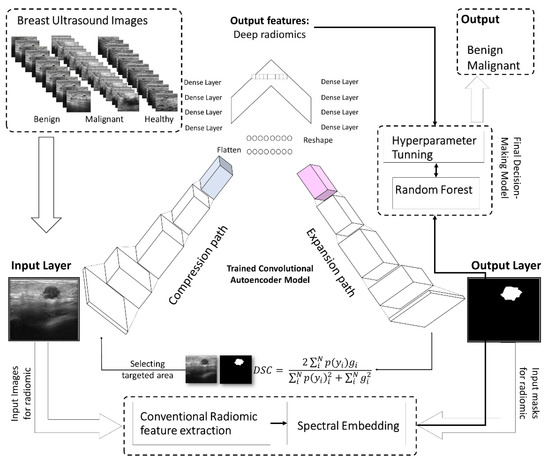 Dual-Intended Deep Learning Model for Breast Cancer Diagnosis in ...