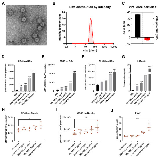 Photodynamic Therapy in Combination with the Hepatitis B Core Virus ...