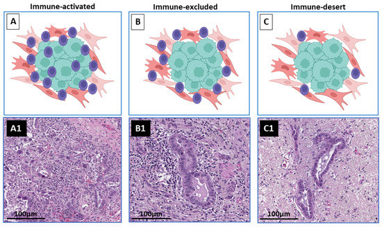 Pathological Response and Immune Biomarker Assessment in Non-Small-Cell Lung Carcinoma Receiving ...