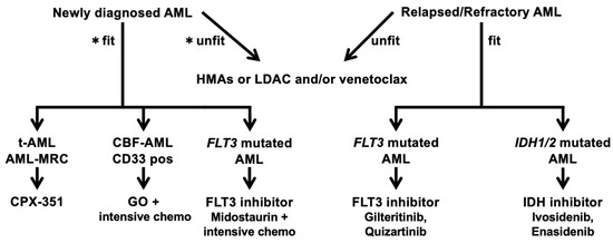 New Therapeutic Strategies for Adult Acute Myeloid Leukemia
