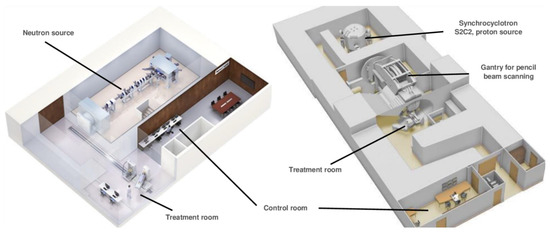 Clinical Viability of Boron Neutron Capture Therapy for Personalized ...