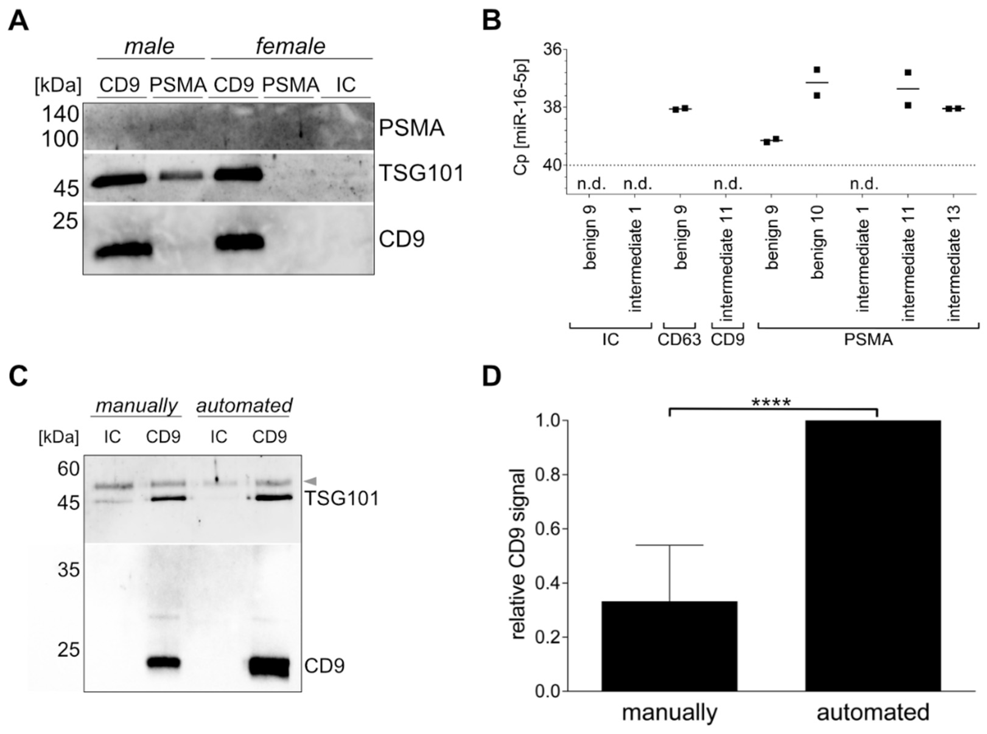 Prostate-Specific Membrane Antigen (PSMA)-Positive Extracellular ...