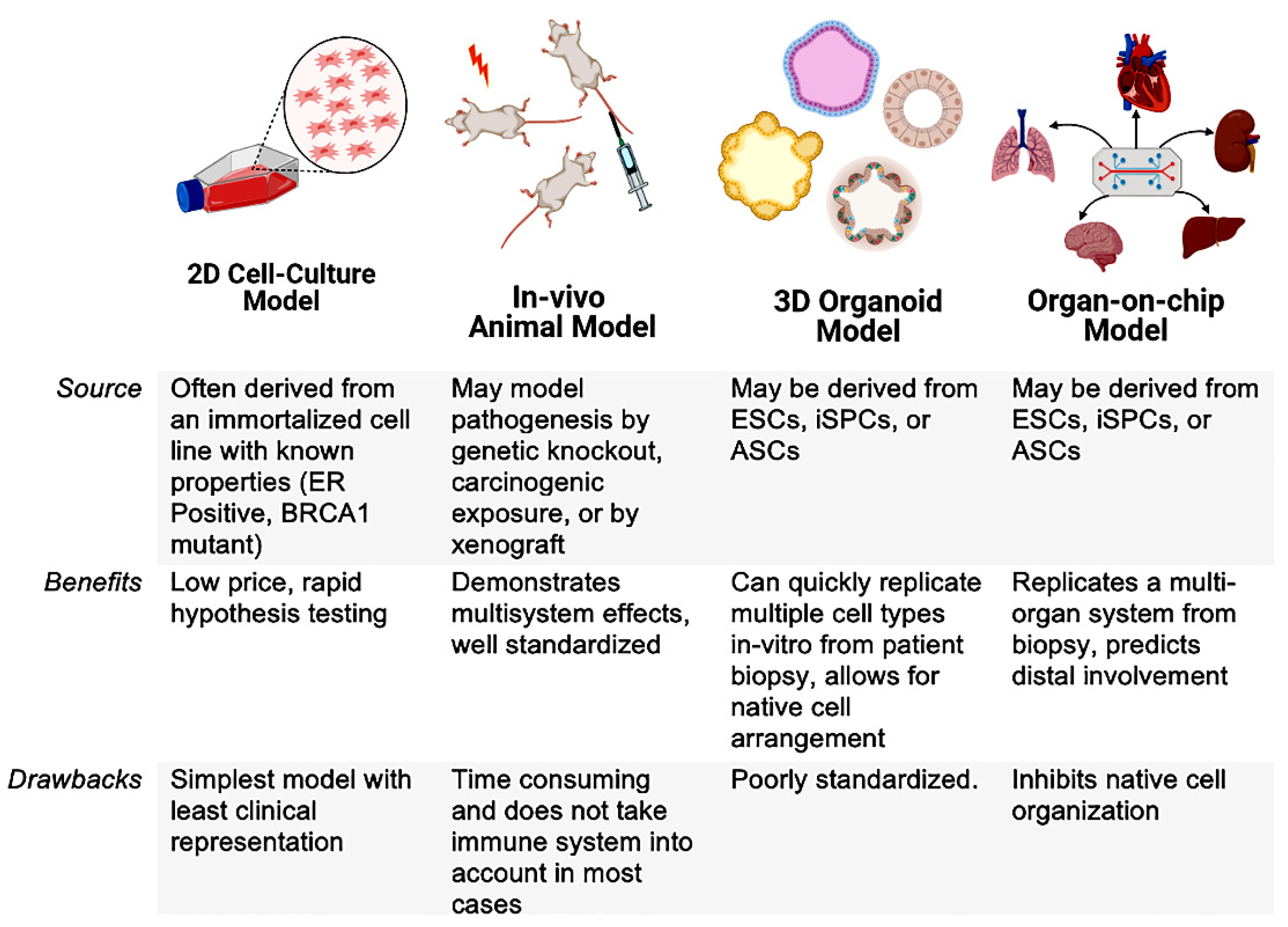 Cancers Free Full Text Patient Derived Ex Vivo Cancer Models In