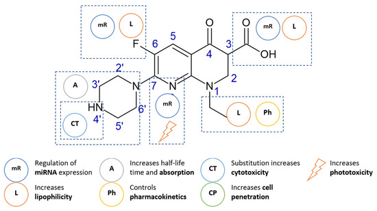 The New Face of a Well-Known Antibiotic: A Review of the Anticancer ...