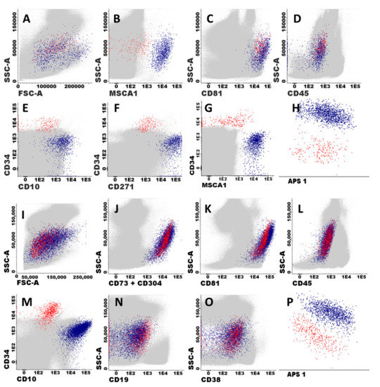 Cancers | Special Issue : Leukemia and Lymphoma Immunophenotyping