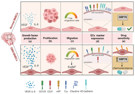 Dynamic Interactions between Tumor Cells and Brain Microvascular ...