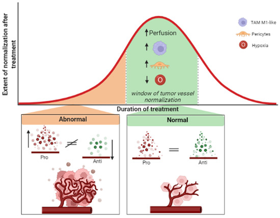 Dynamic Interactions between Tumor Cells and Brain Microvascular ...