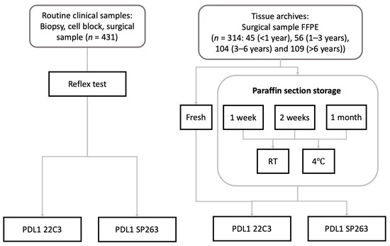 Cancers | Free Full-Text | Comprehensive Comparison of 22C3 and SP263 ...