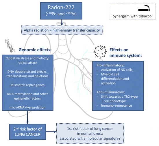 Cancers | Free Full-Text | Radon and Lung Cancer: Current Trends and ...