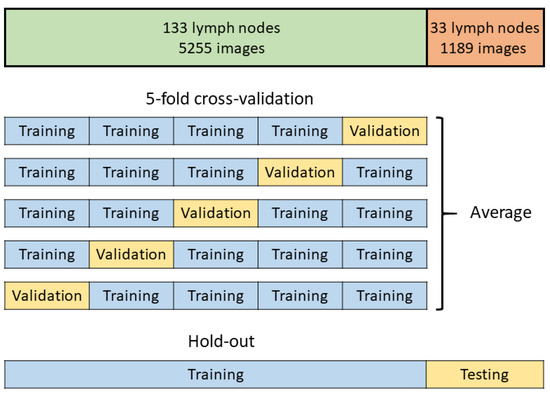 Cancers | Free Full-Text | Prediction of Nodal Metastasis in Lung ...