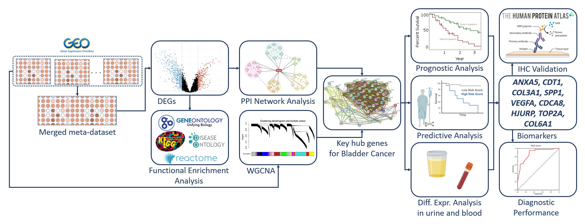 Cancers | Free Full-Text | An Integrated Bioinformatics Analysis ...