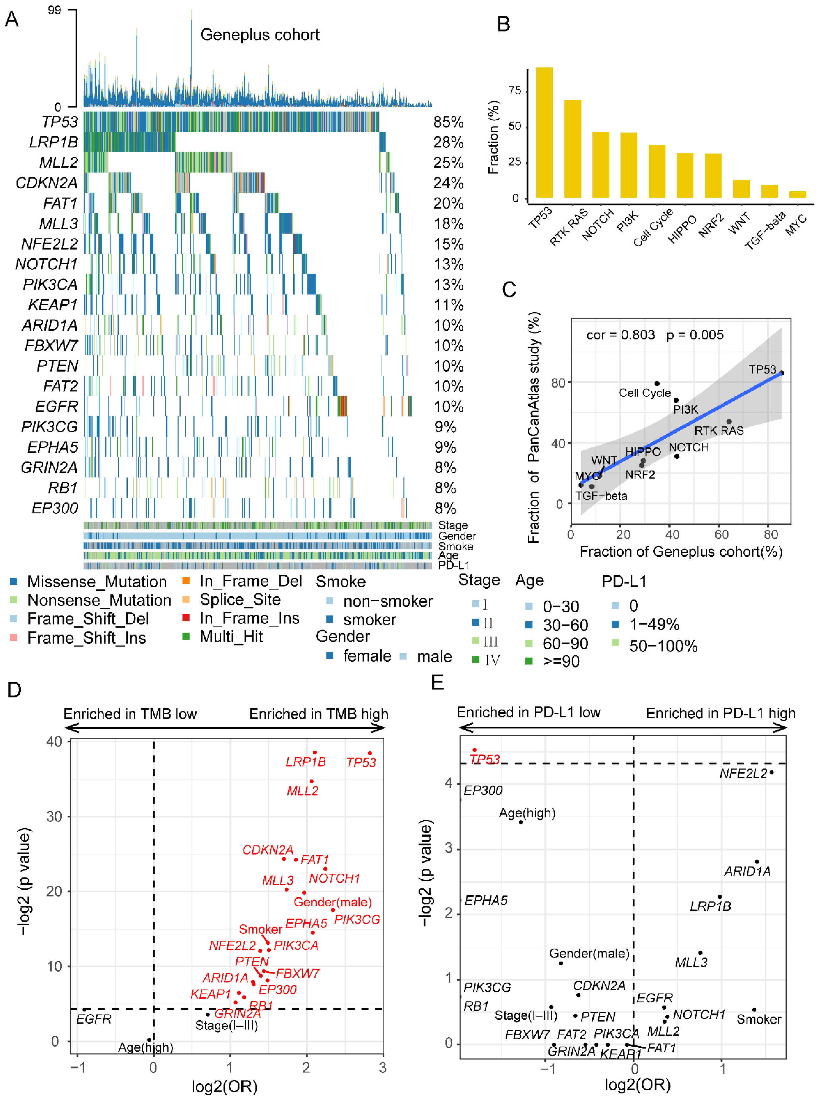TP53 and LRP1B Co-Wild Predicts Improved Survival for Patients with ...