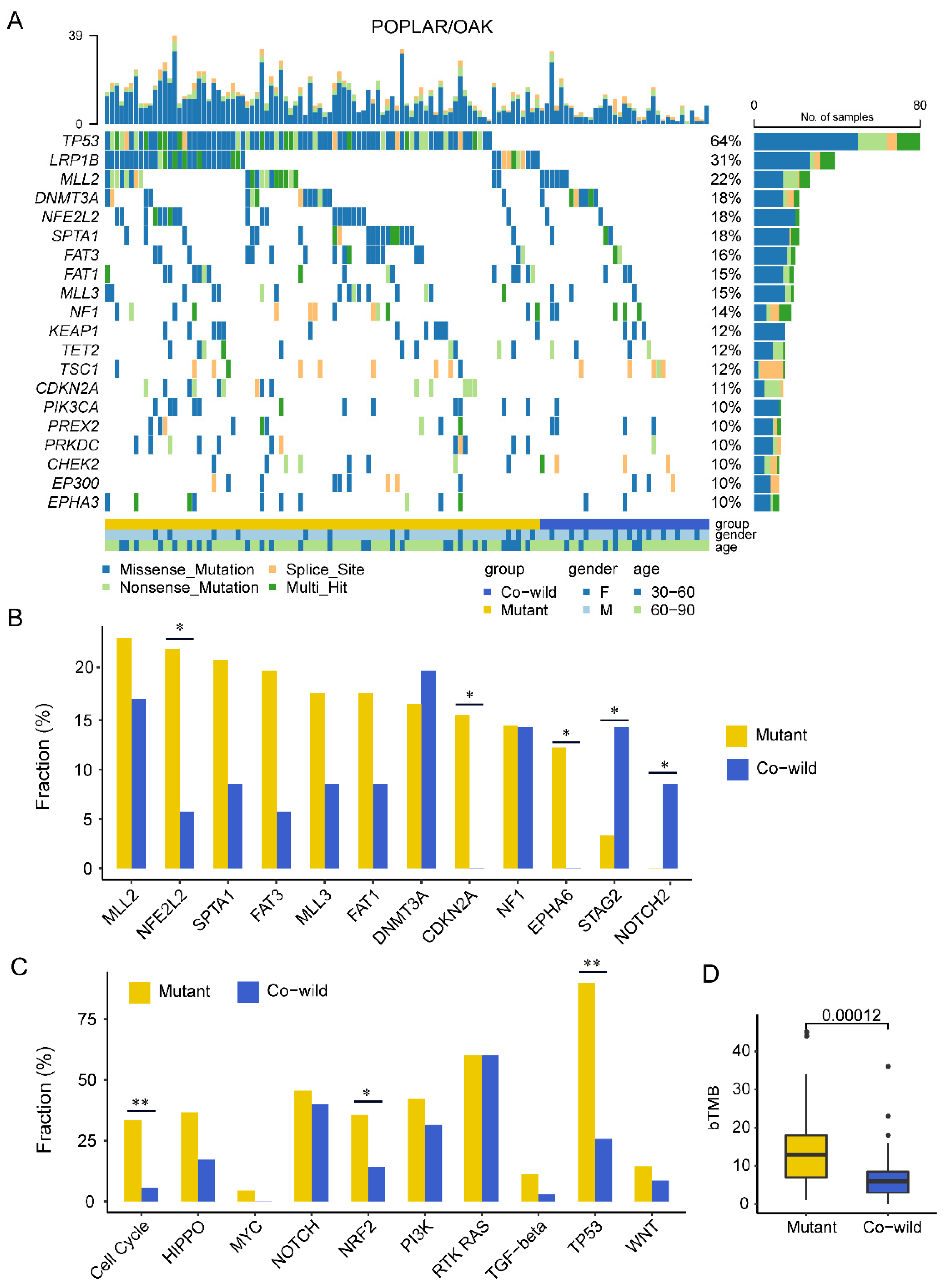 TP53 and LRP1B Co-Wild Predicts Improved Survival for Patients with ...