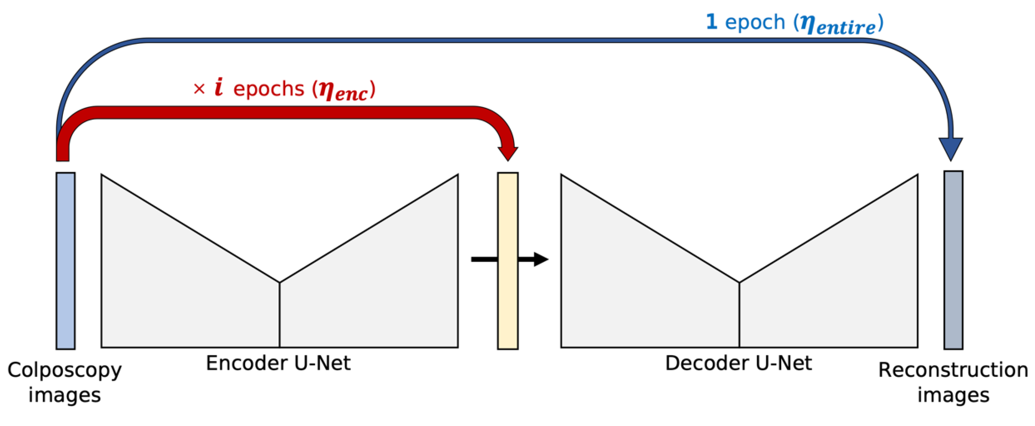 Cancers | Free Full-Text | Encoder-Weighted W-Net for Unsupervised Segmentation of Cervix Region ...