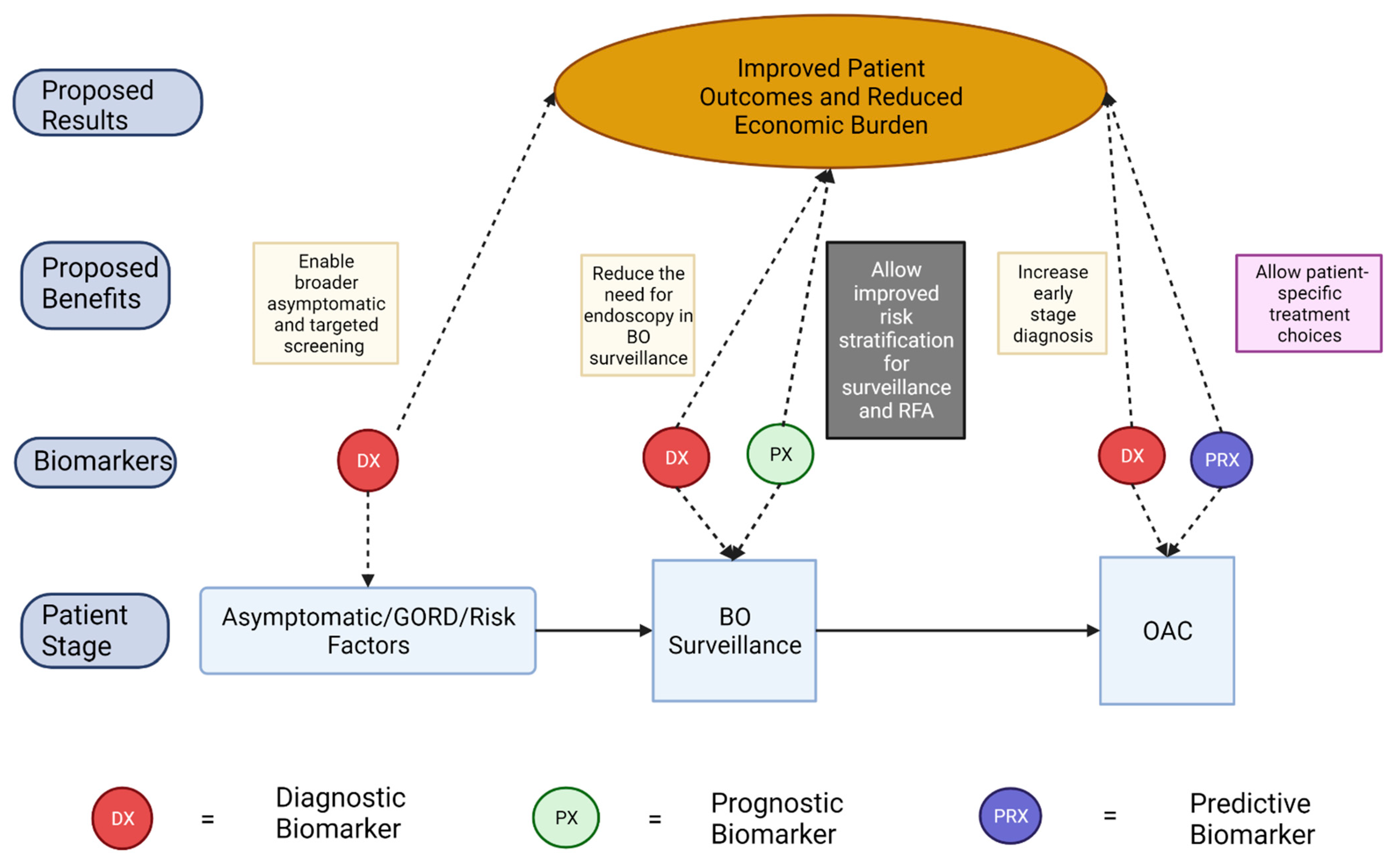 Prognostic, Diagnostic and Predictive Biomarkers in the Barrett’s ...