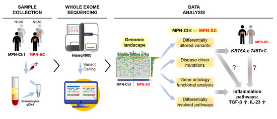 Cancers | Free Full-Text | The Genomic Landscape in Philadelphia-Negative Myeloproliferative ...