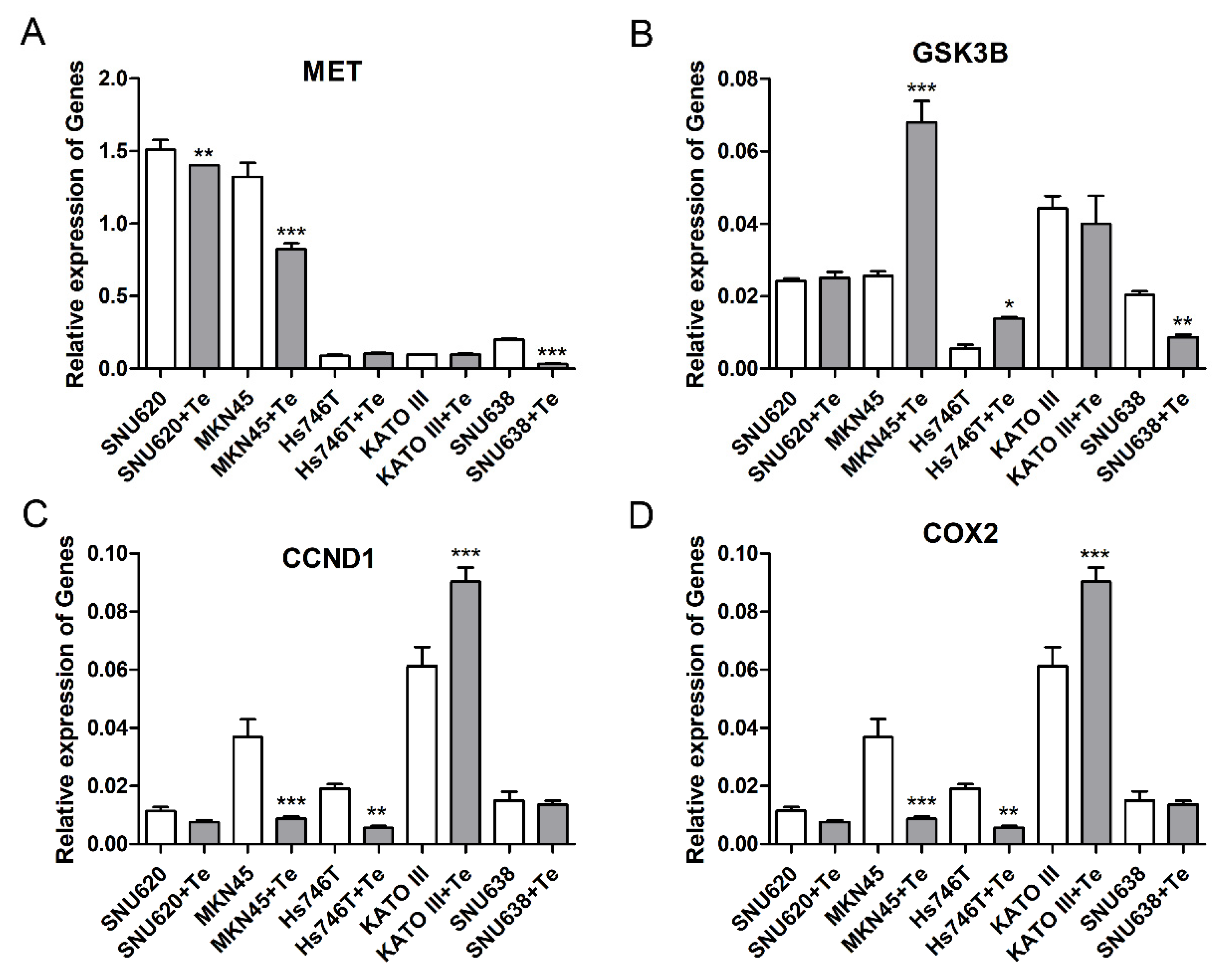 Responses to the Tepotinib in Gastric Cancers with MET Amplification or ...