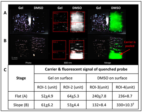 Formulation of a Thermosensitive Imaging Hydrogel for Topical ...