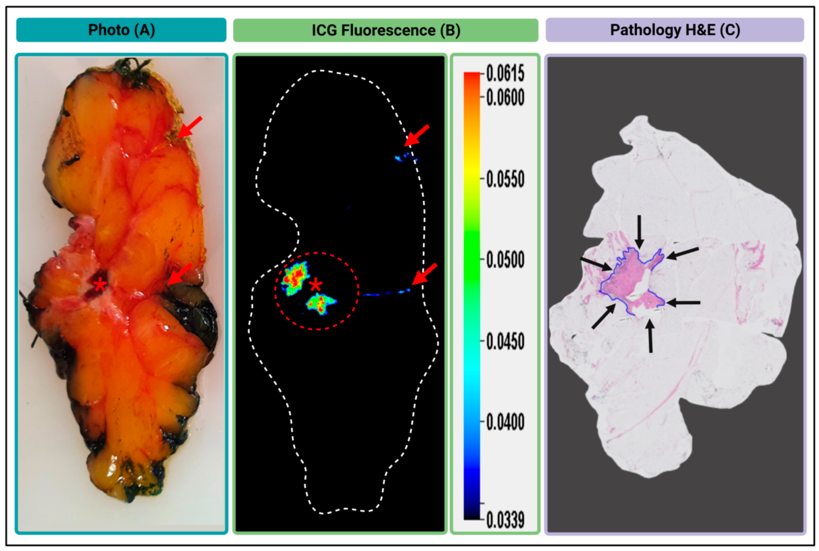 Formulation of a Thermosensitive Imaging Hydrogel for Topical ...