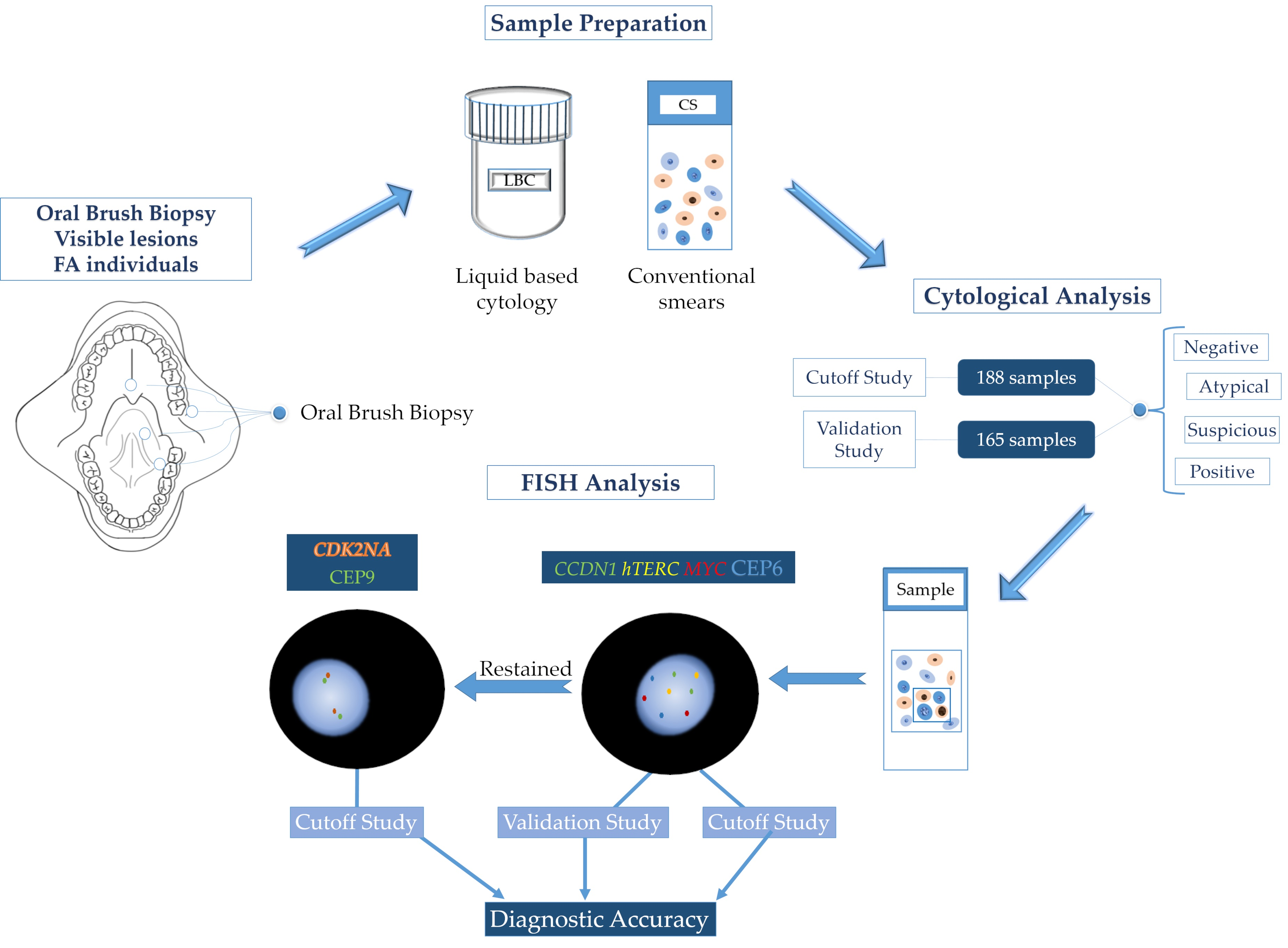 Cancers | Free Full-Text | A New Multi-Color FISH Assay for Brush ...
