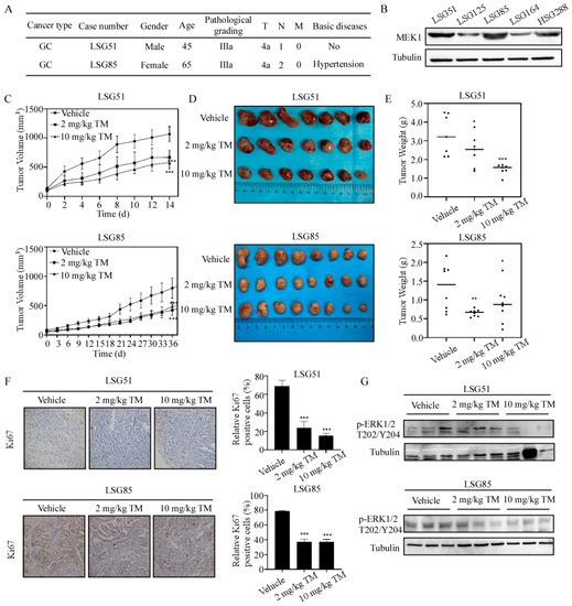 Tegaserod Maleate Suppresses the Growth of Gastric Cancer In Vivo and ...
