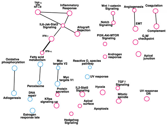 Cancers | An Open Access Journal from MDPI