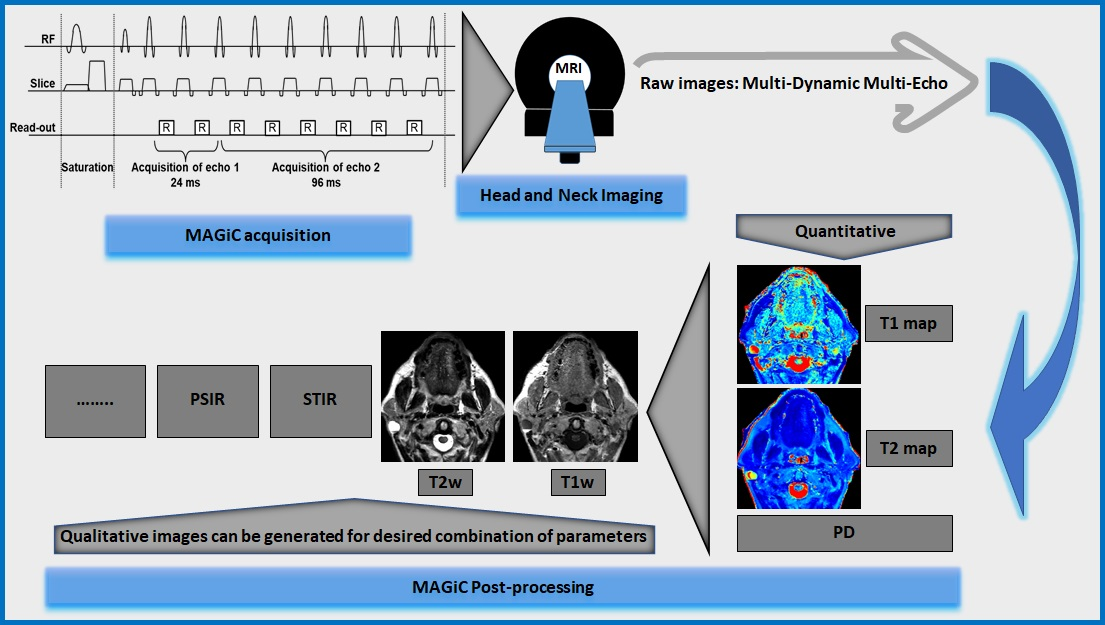 Cancers | Free Full-Text | Qualitative and Quantitative Performance of ...