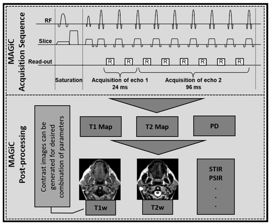Qualitative and Quantitative Performance of Magnetic Resonance Image ...