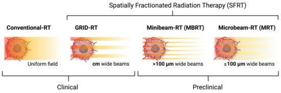 Should Peak Dose Be Used to Prescribe Spatially Fractionated Radiation ...