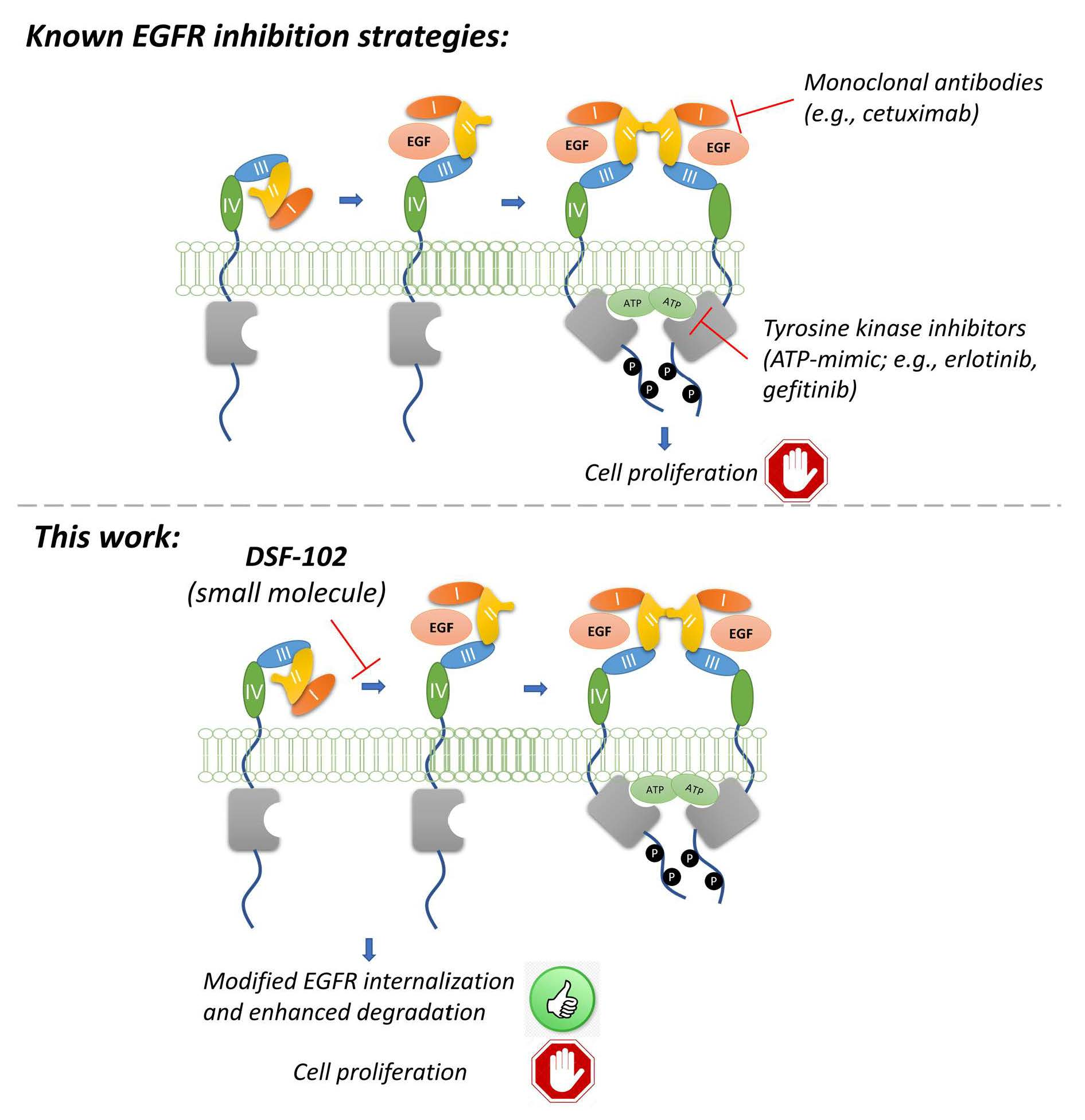 Cancers | Free Full-Text | Preliminary Discovery of Small Molecule ...