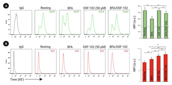 Preliminary Discovery of Small Molecule Inhibitors of Epidermal Growth ...